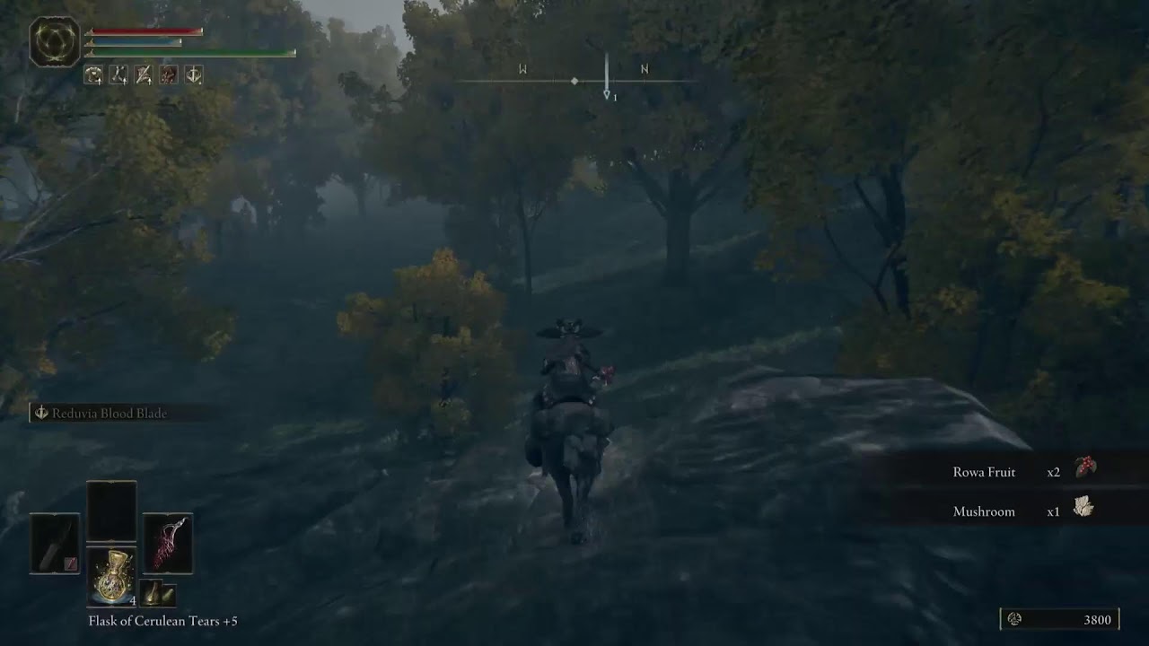 Elden ring dagger build bleed fun - YouTube