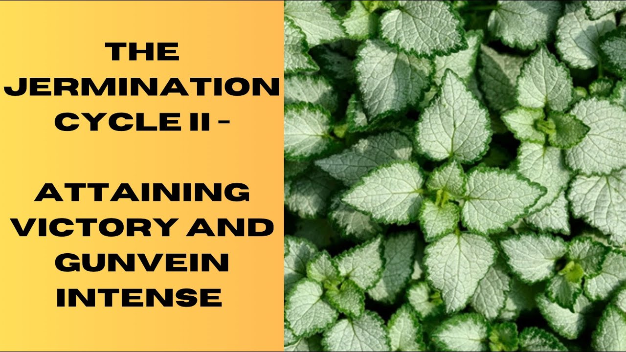 The Jermination Cycle II - Attaining Victory and Gunvein Intense - YouTube