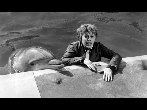 "THE LUCY SHOW" - National Dolphin Day ("Lucy at Marineland") - YouTube