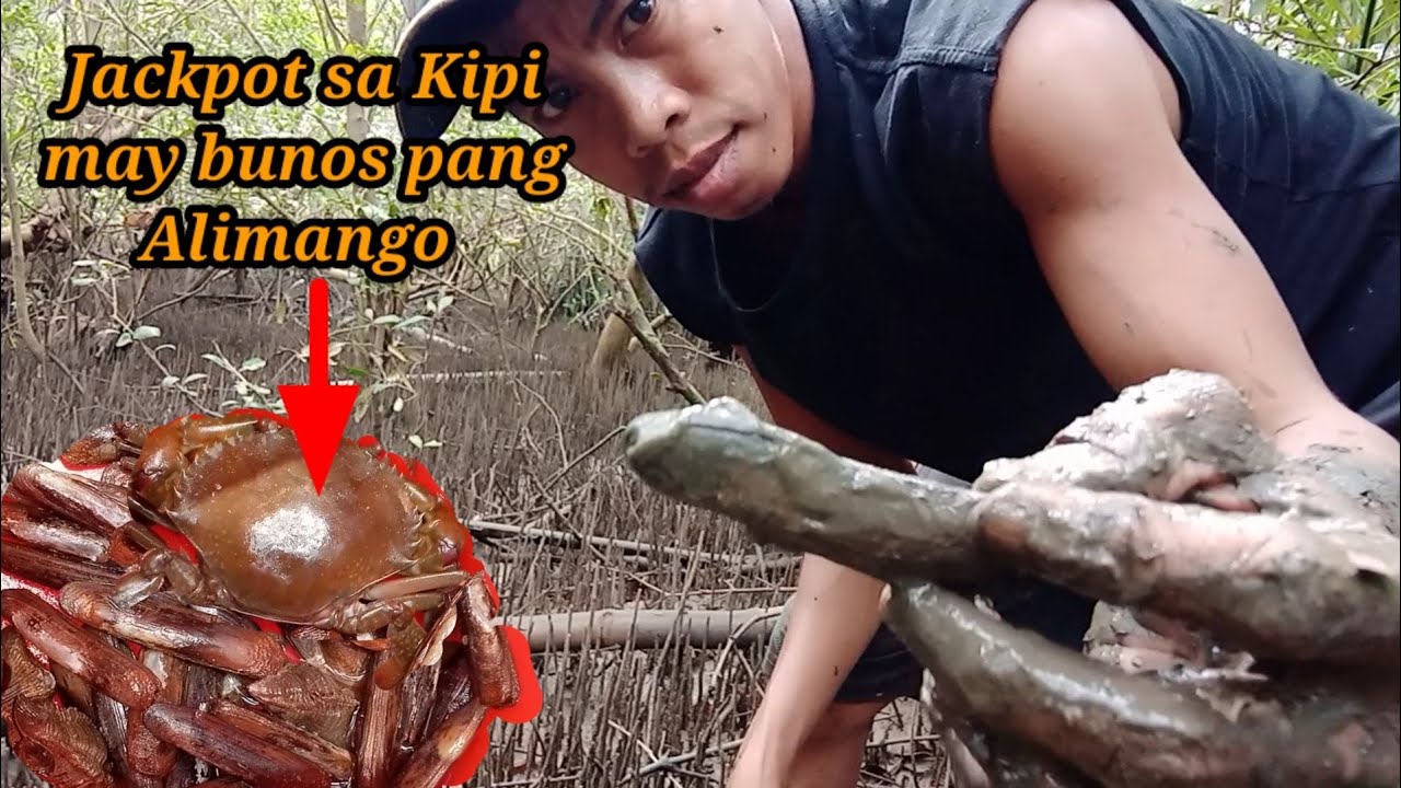 Paano manguha ng kipi or tudlo datu madali lang #seashells #catch # ...