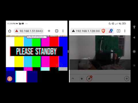 Khao Manee Cats TV Livestream 6