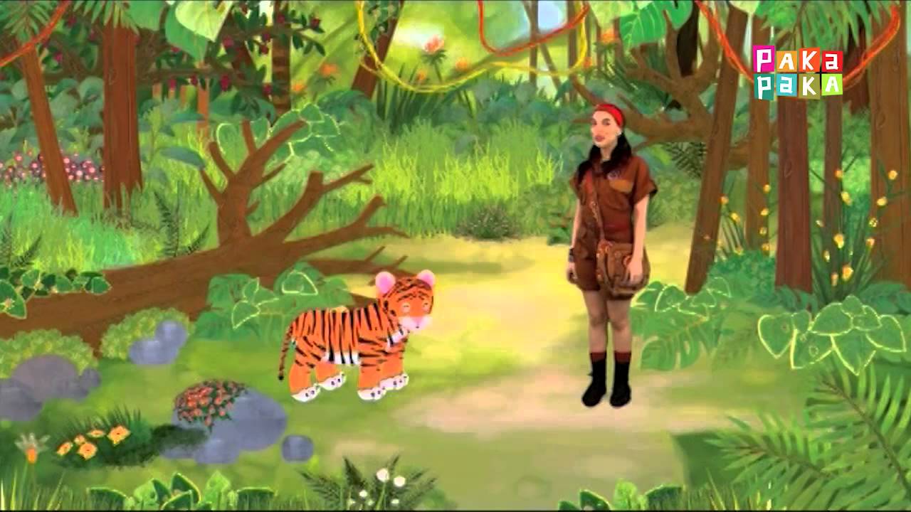 Animapaka II: Tigre (Cap. 4) - Canal Pakapaka - YouTube