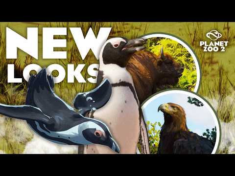 🐧 PENGUINS are BASEGAME! Wisent and African Penguin, Zoopedia Reveals | Planet Zoo 2