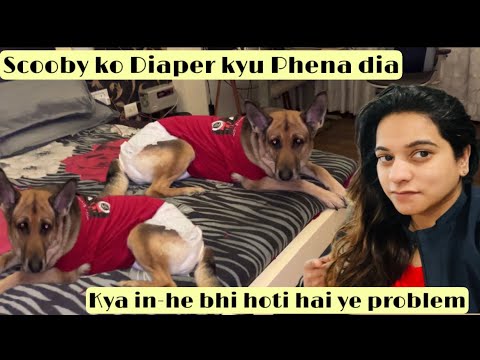 Scooby ko Diaper kyu Phena dia|kya inko bhi hoti hai ye problem ...
