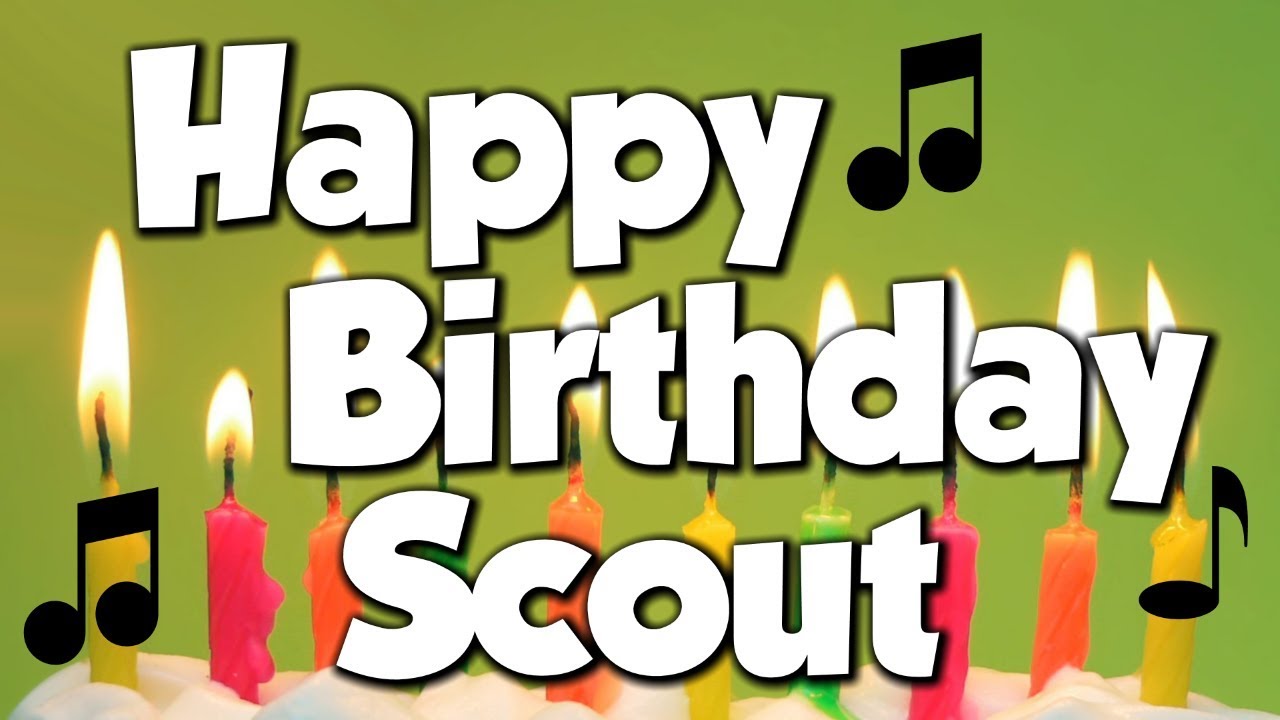 Happy Birthday Scout! A Happy Birthday Song! - YouTube