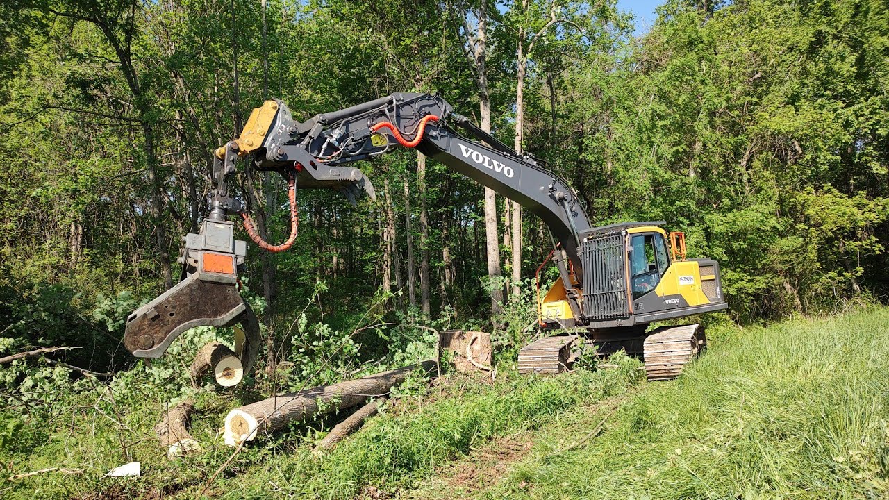Time To Start Logging The Pond Site - YouTube