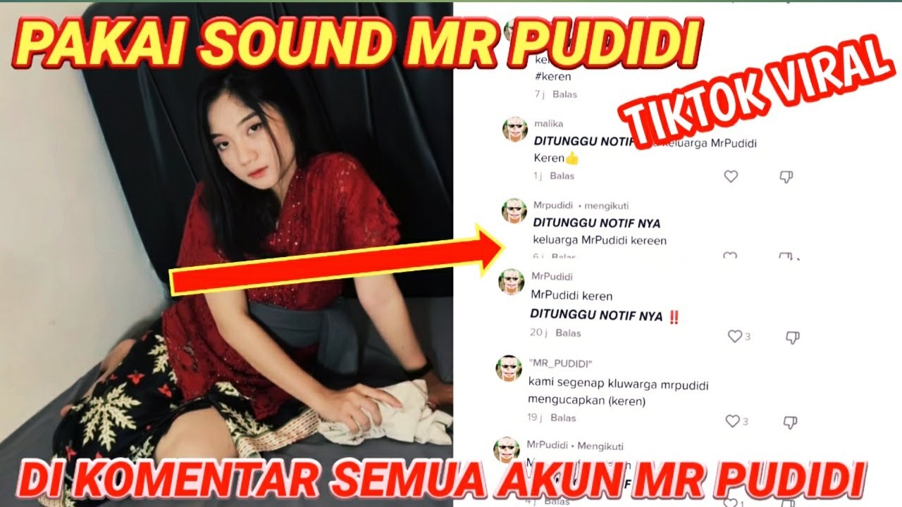TIKTOK PAKAI SOUND MR PUDIDI YANG VIRAL DI KOMEN SEMUA AKUN MR PUDIDI ...