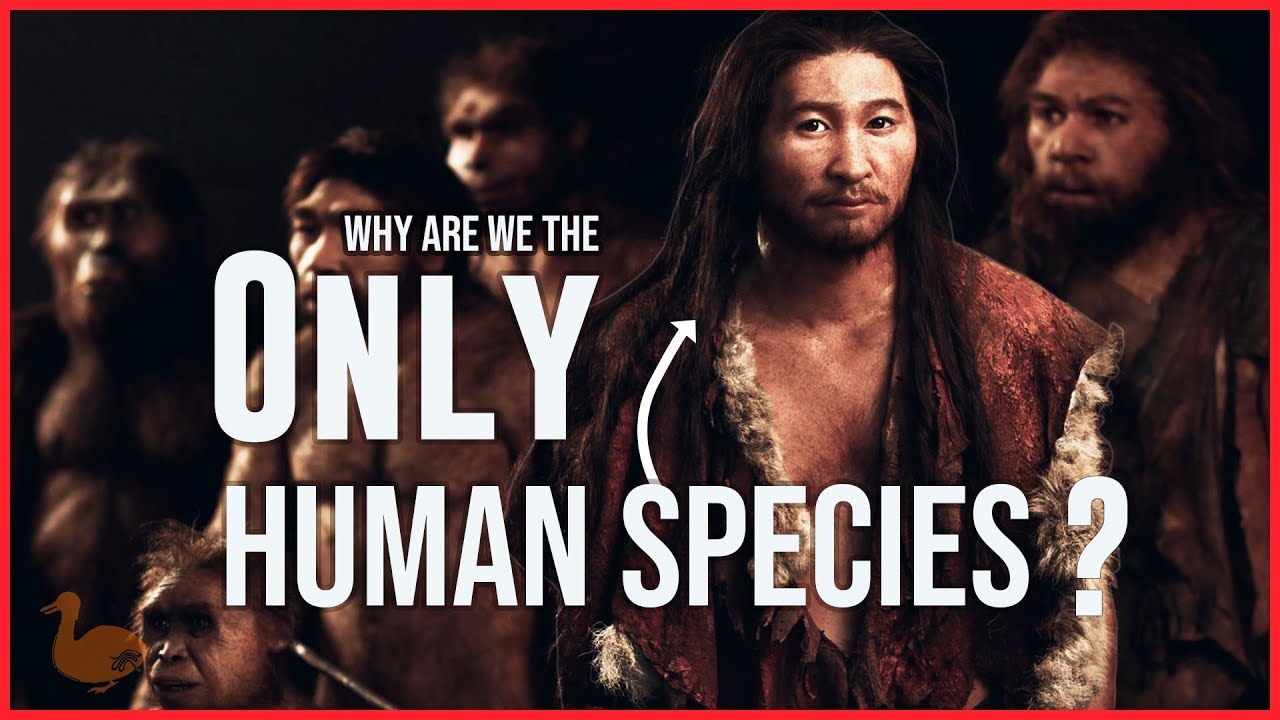 Why Are We The Only Human Species? - YouTube