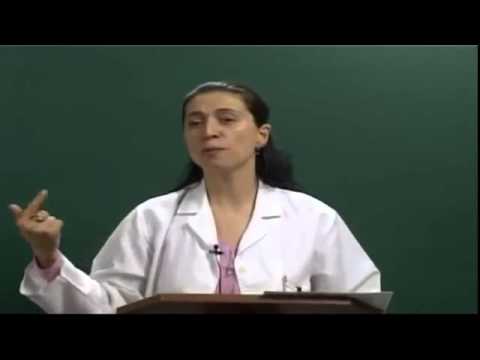FELSEFE 7 { GÜZELLİK FELSEFESİ }