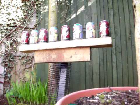 Shooting cans with Walther Lever .177 rifle - YouTube