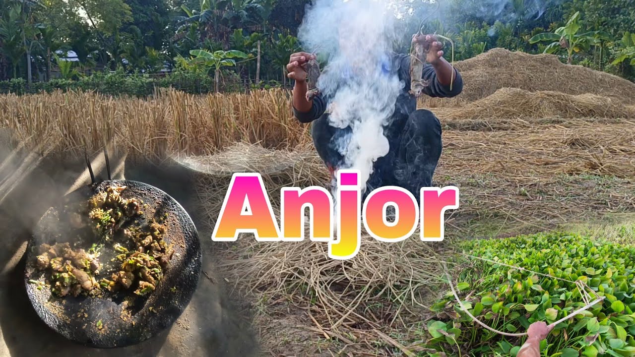 Anjor Sananwi Manwi Mwnbai | New Bodo Vlog video | New Bodo video ...