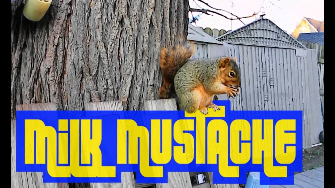 The Adventures Of Chunky The Squirrel: Milk Mustache - YouTube