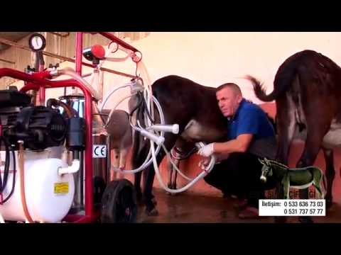 astım ilaçları 0533 636 7303 Eşek Sütü ile bağışıklık sisteminizi güçlendirin