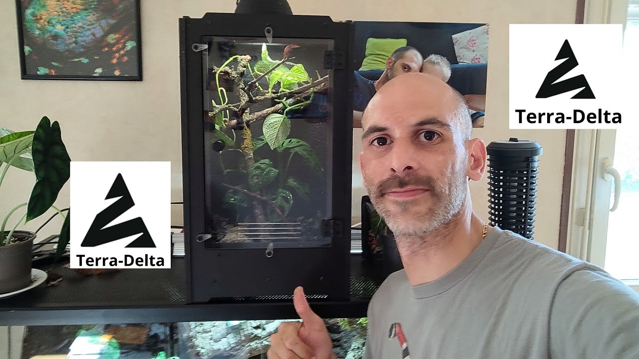 TERRARIUM DELTA IL SONT TOP gecko a crête #terrarium - YouTube