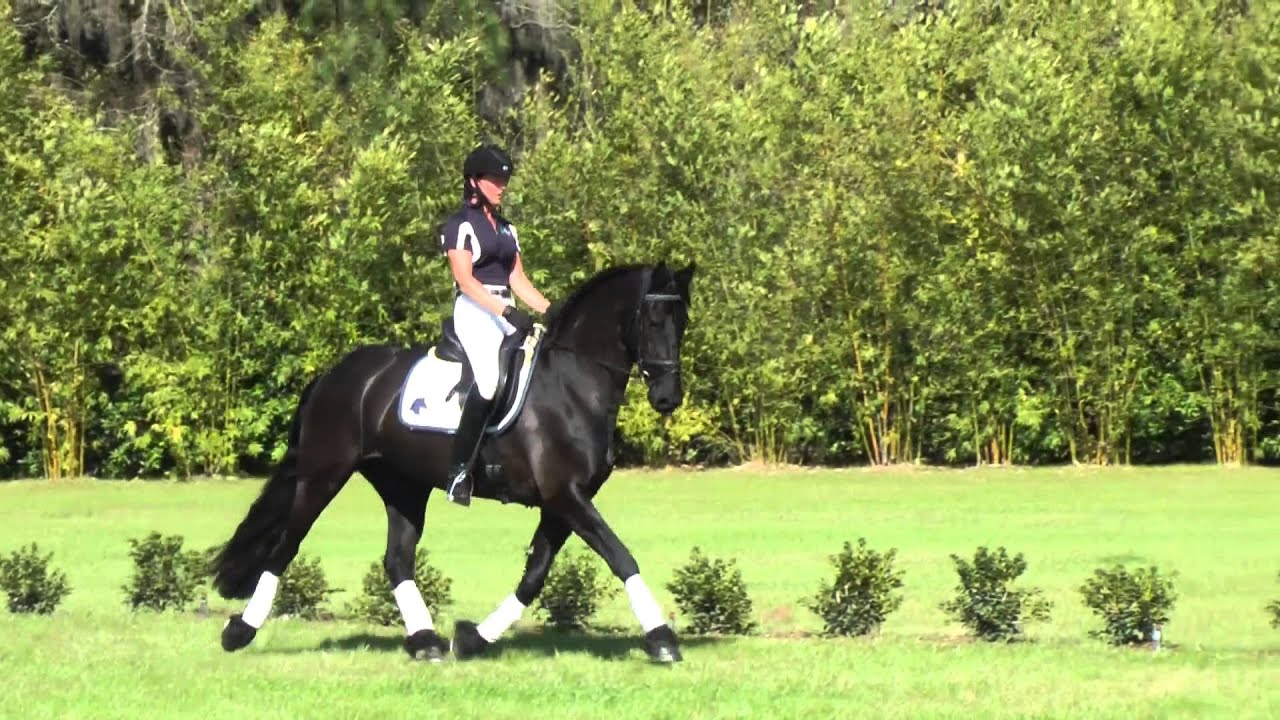 Jewel ISF at Iron Spring Farm, Spring 2015 - SOLD! - YouTube