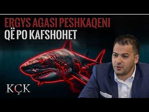 KÇK - Ergys Agasi, peshkaqeni që po kafshohet