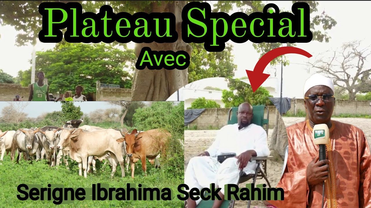Emission Spéciale Avec Serigne Ibrahima SECK Fils de Serigne Thienaba ...
