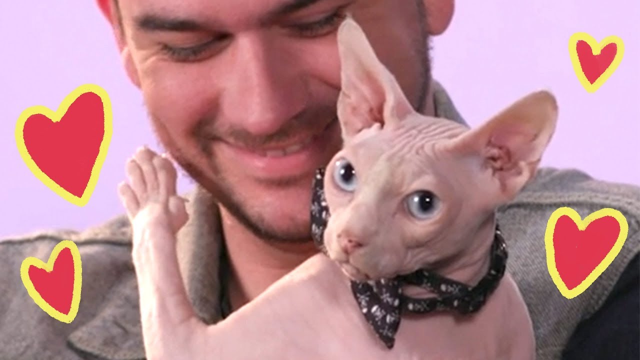 Dudes Get Real Mushy About Their Cats - YouTube