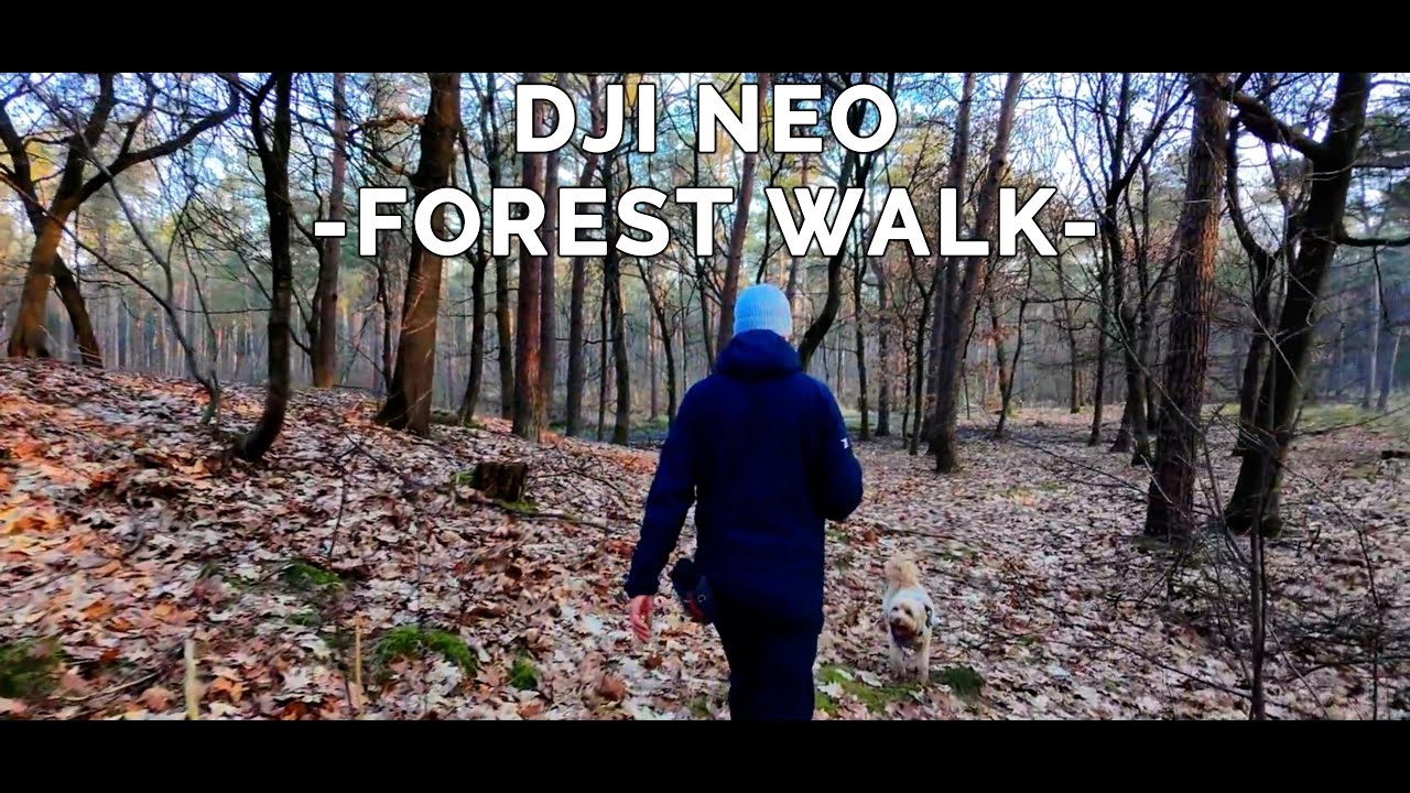 DJI NEO - FOREST WALK (with relaxing music) (4K) - YouTube