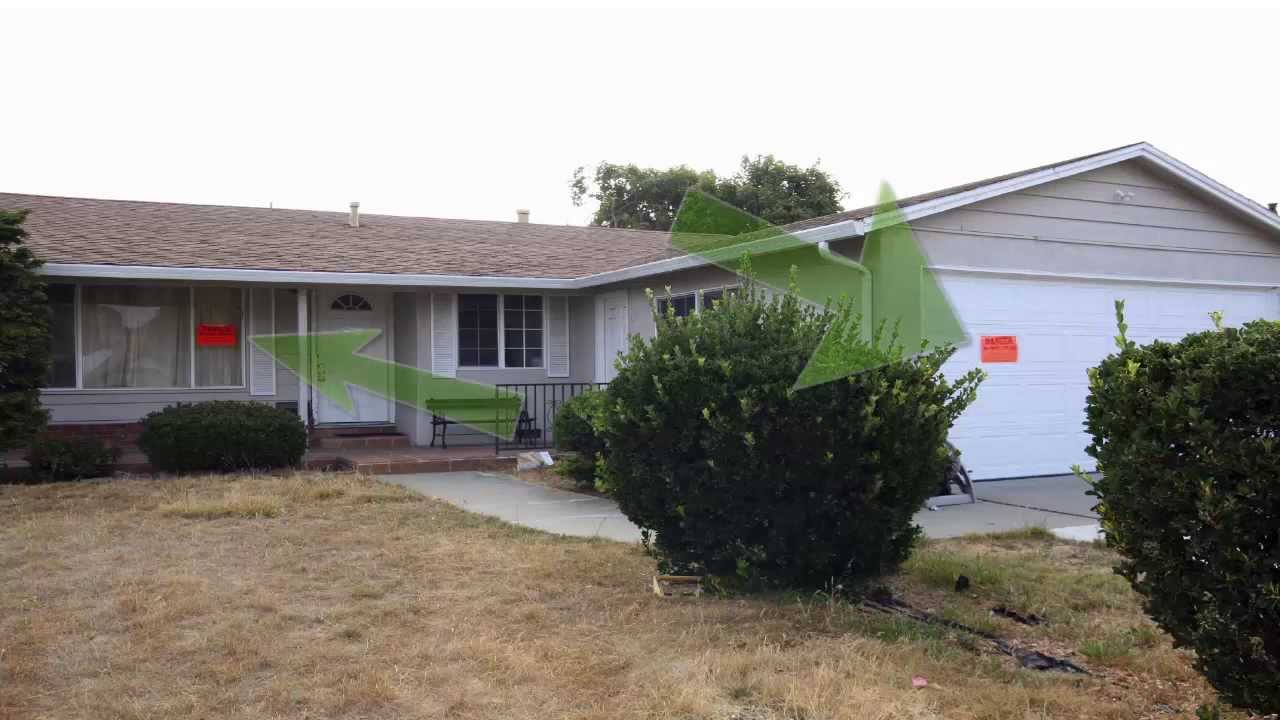 Wholesaling Real Estate - Bird Dogs - YouTube