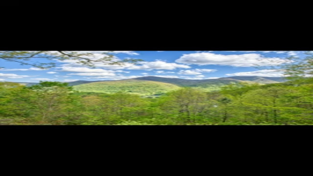 Bonnie View Walkthrough - YouTube