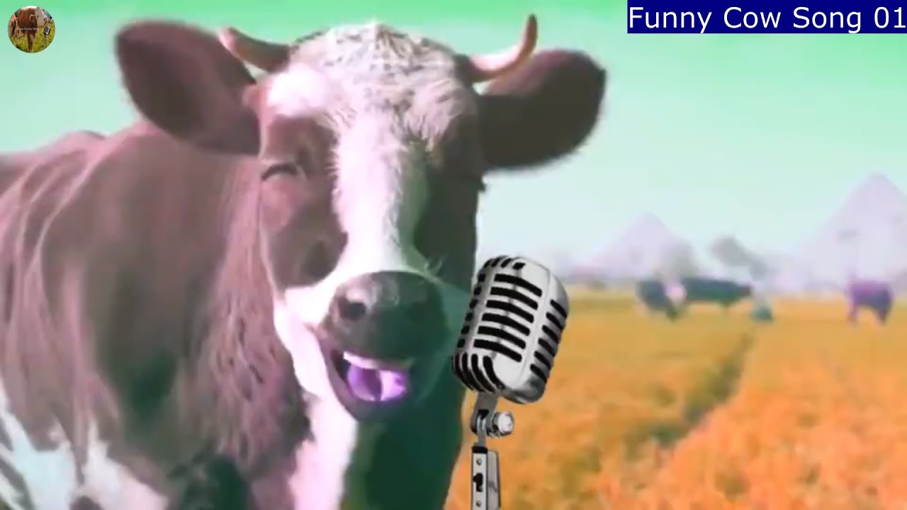 FUNNY COW DANCE 01 | COW MOOING SOUNDS & COW VIDEOS 2024 | COW FUNNY ...