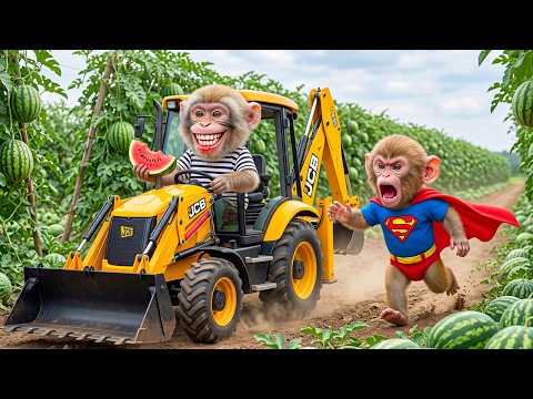🔥 Baby Monkey Nana Uses JCB Excavator to Catch Thief in Watermelon Farm! 🍉🚜 | Epic Rescue Missi