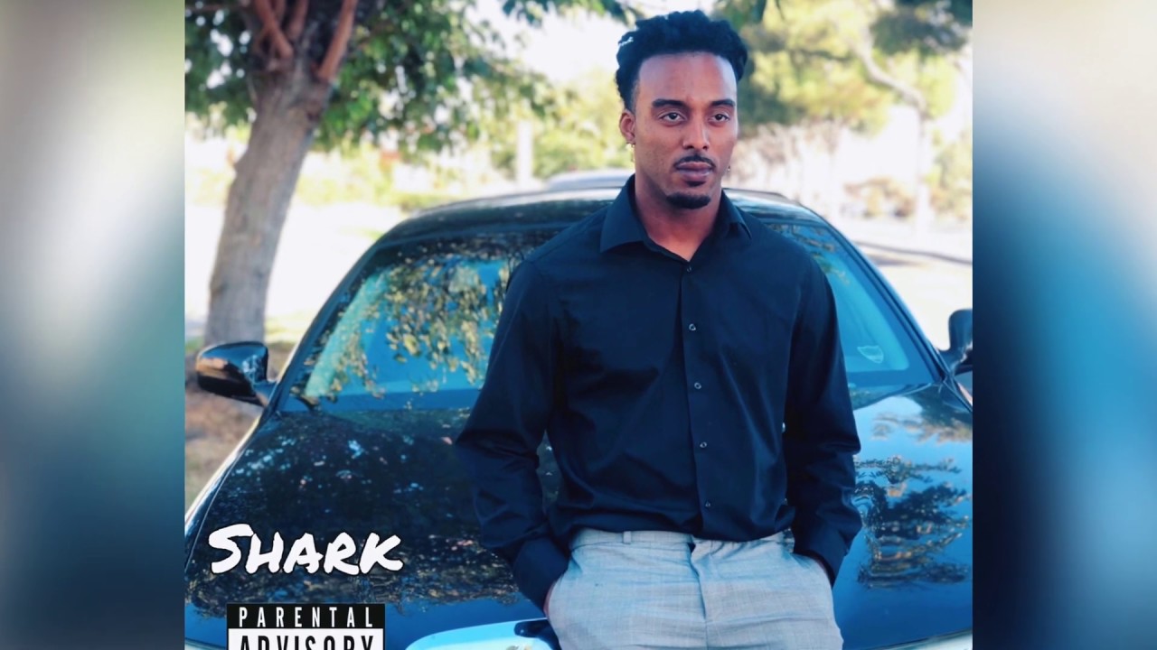 Shark - Billboards (official audio) sharknations - YouTube