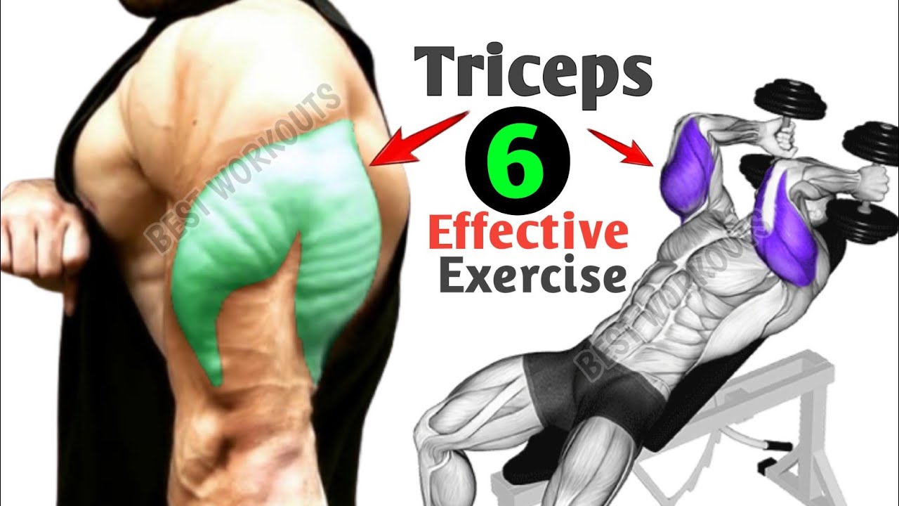 6 Fastest Big Triceps Exercises At Gym - Triceps Workout - YouTube