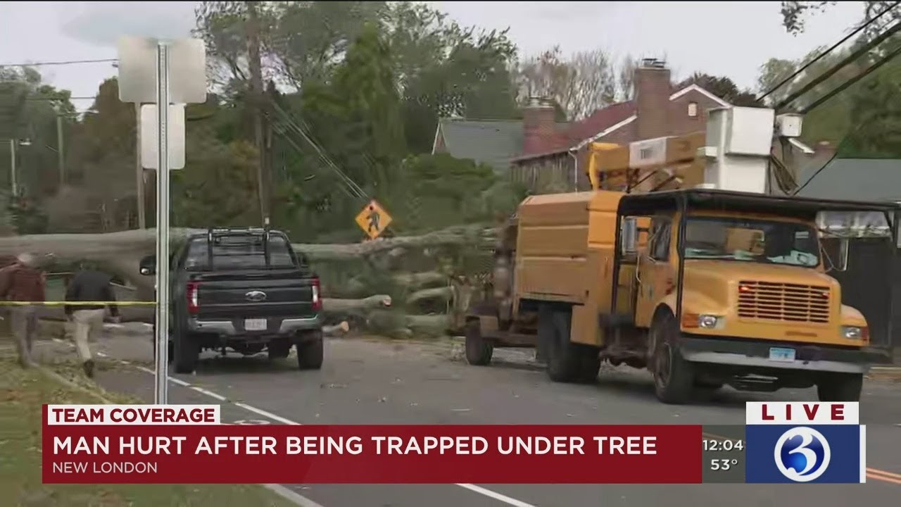 Video: Man hurt after being trapped under tree in New London - YouTube