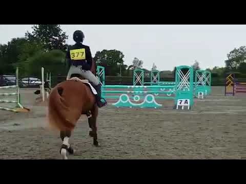 Hickory IV & Alicia Earee SJ at Aston- clear