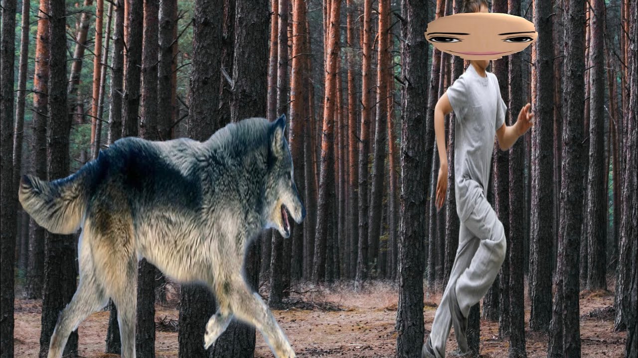 A WOLF OR OTHER😱🤯 - YouTube