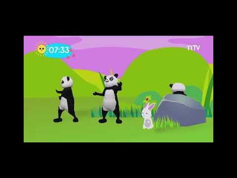 Panda Monkeys NTV - 22/01/2025 - YouTube