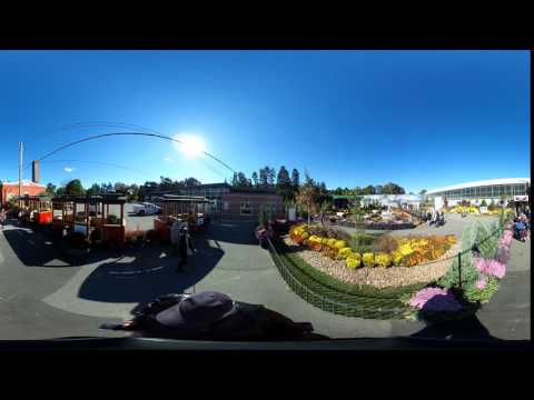 360 panorama - Hamilton 96th Annual Fall Garden & Mum Show - YouTube