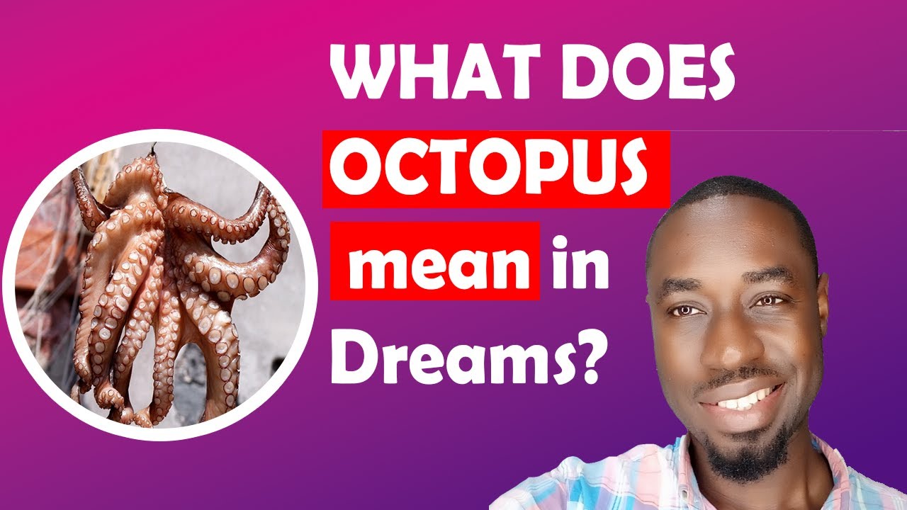 Meaning of Octopus in Dreams - YouTube