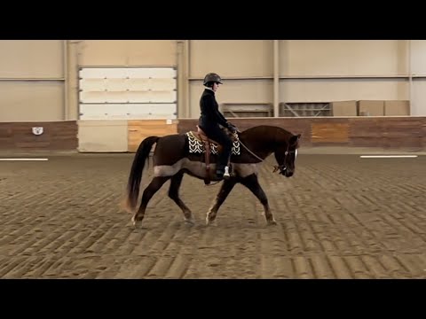 CRDA Virtual Schooling Show | Feb 16-29, 2024 | Jessica Normand | WDAA ...