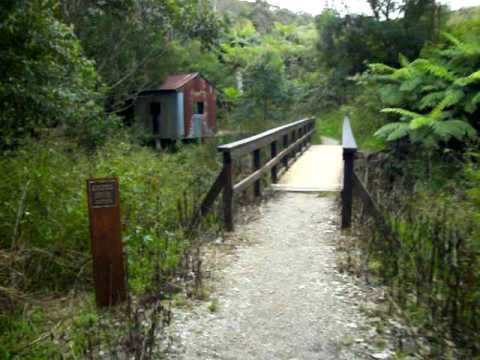 Track from the Settlement camping ground (Springbrook National Park ...
