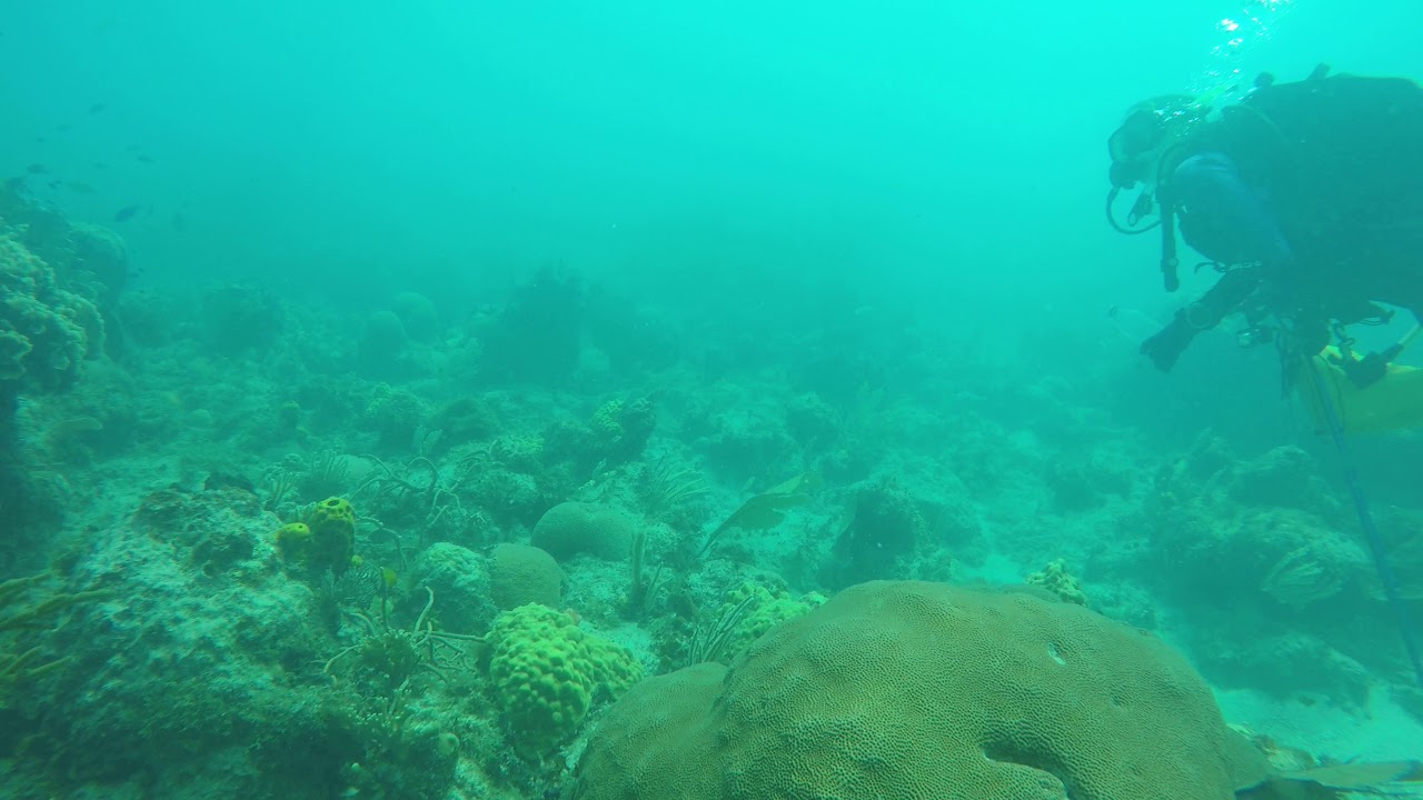 20190623 GTMO Windmill Beach Dive - YouTube