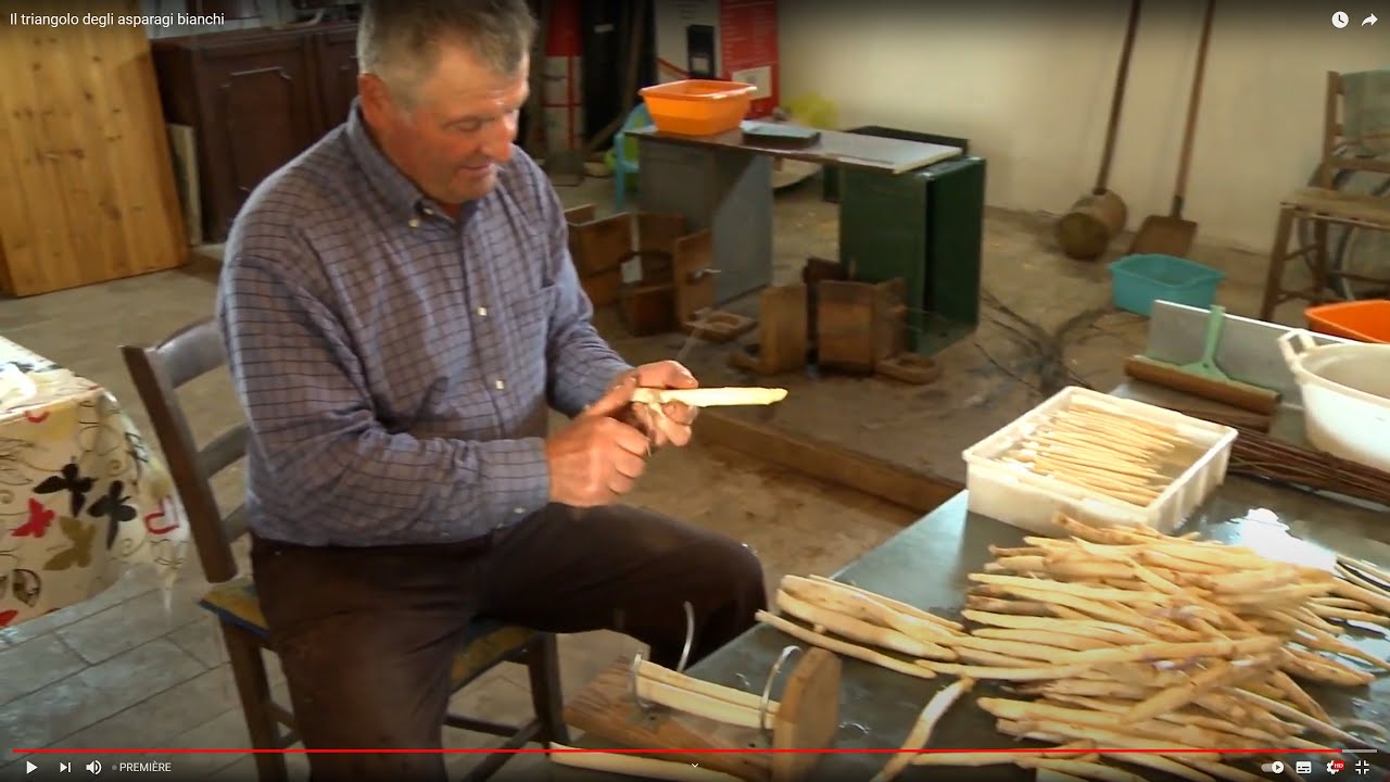 Il triangolo degli asparagi bianchi - YouTube