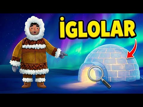 Bunu Biliyor musunuz? - İGLOLAR / 6. Sınıf Türkçe İzleme Metni