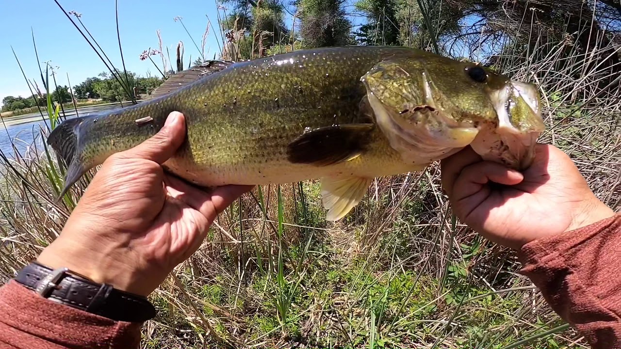 Summer Flippin @ Mather Lake - YouTube