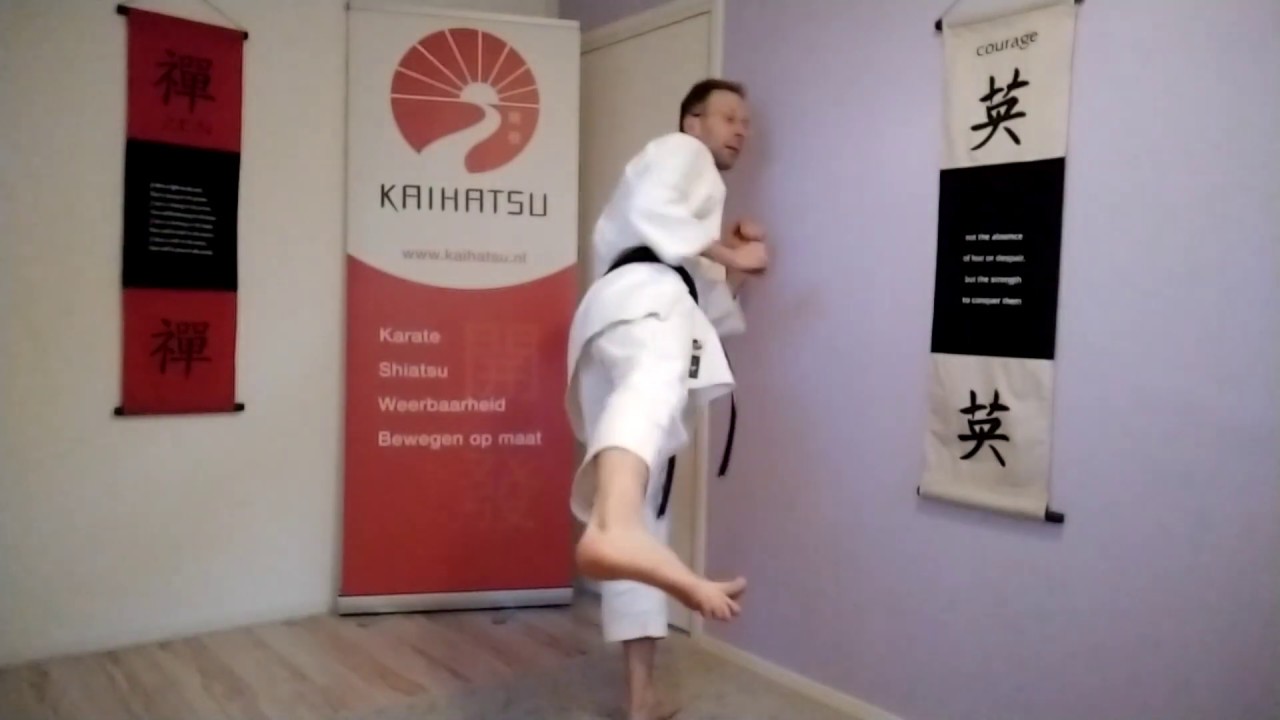 Yoko-geri, detail trappen naar doel recht voor je | Kaihatsu Karate-do ...