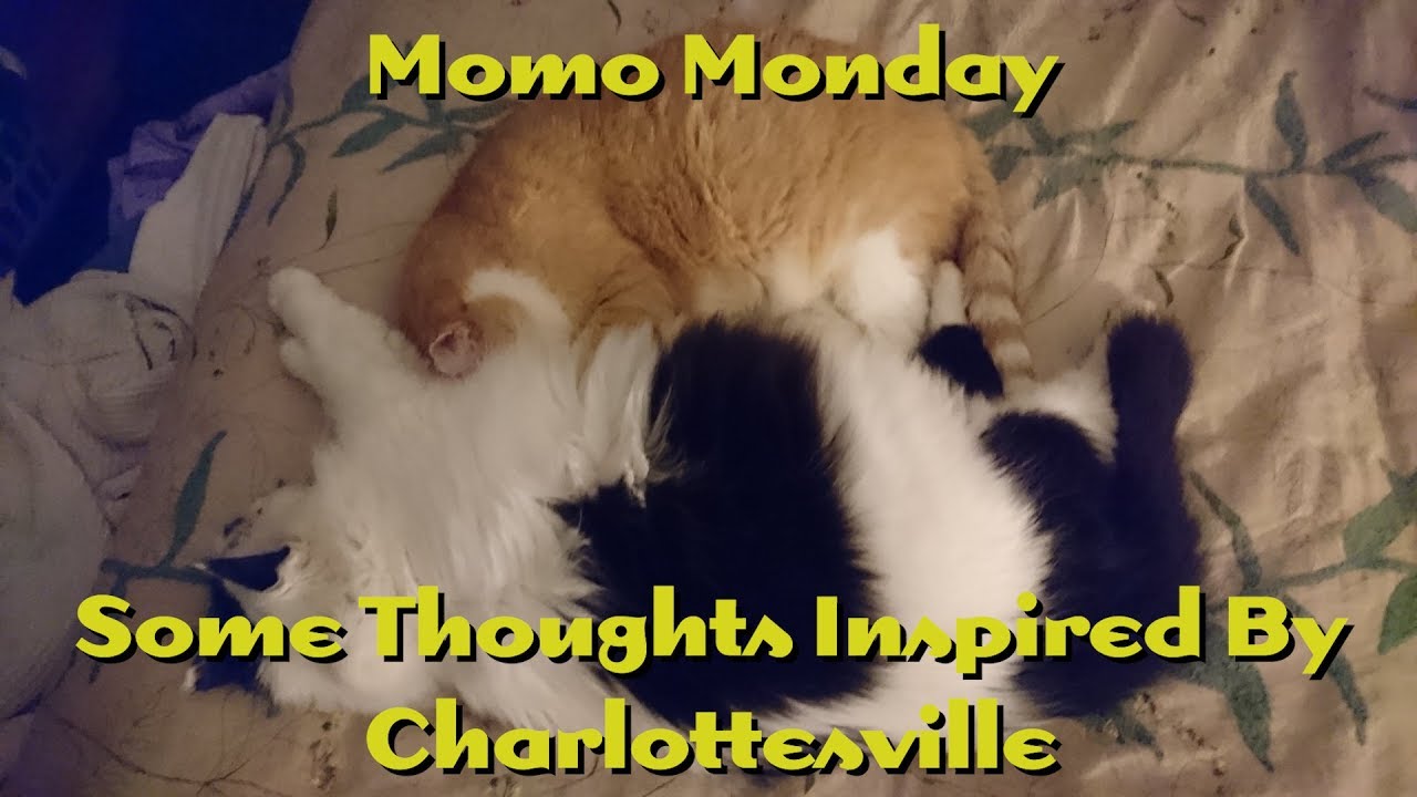 Momo Monday: Thoughts Resulting From Charlottesville - YouTube