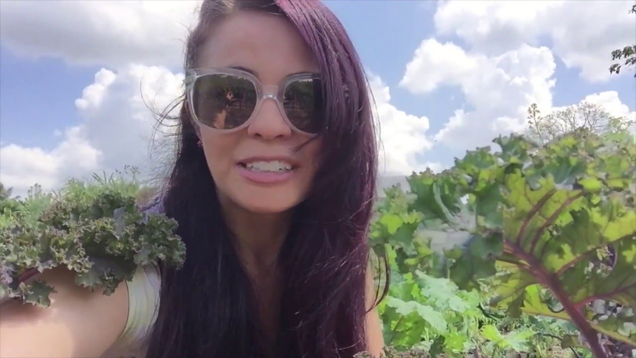 Treehugger Organic Farms in Davie, Florida - YouTube