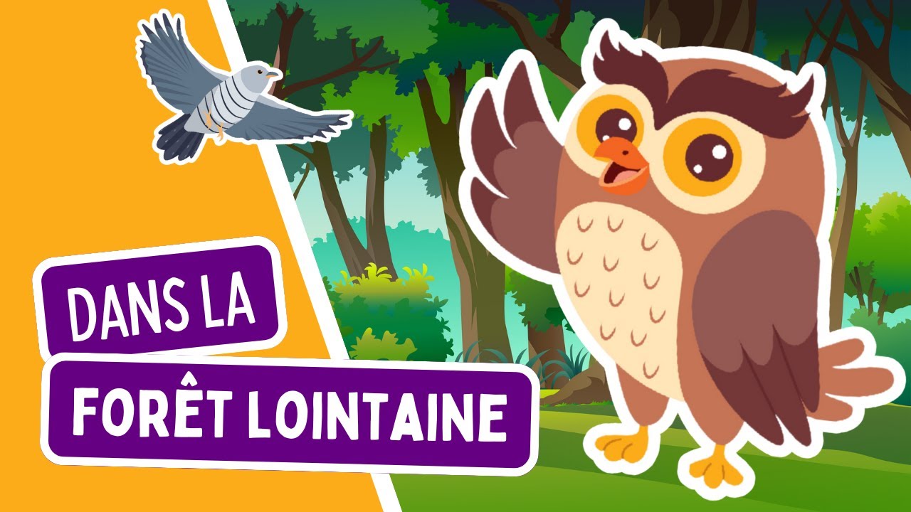 Dans la forêt lointaine 🐦🦉🎶 | Comptines et chansons par Les Mômeries ...