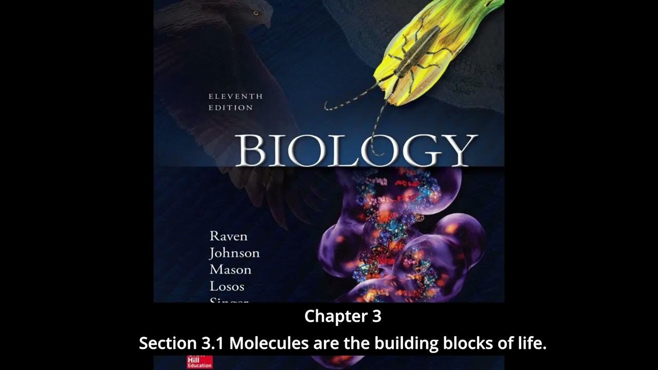 Biology - Chapter 3, The Chemical Building Blocks of Life - YouTube
