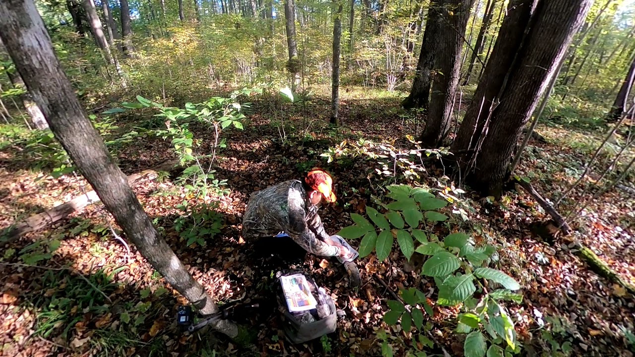 Gray Squirrel Hunting in WI - Part 3 - YouTube