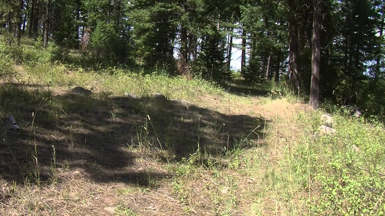 Obie Case Study - stand overview - YouTube