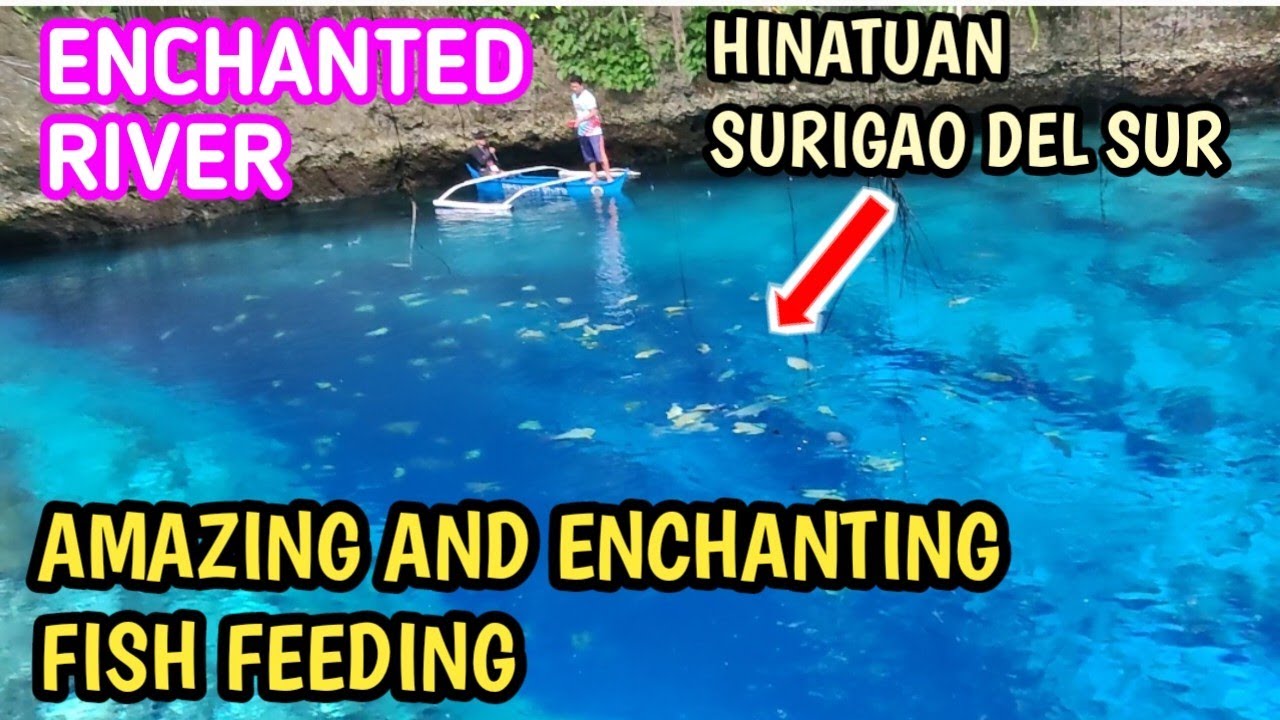 VIRAL, TRENDING AND POPULAR ENCHANTED RIVER OF HINATUAN SURIGAO DEL SUR ...