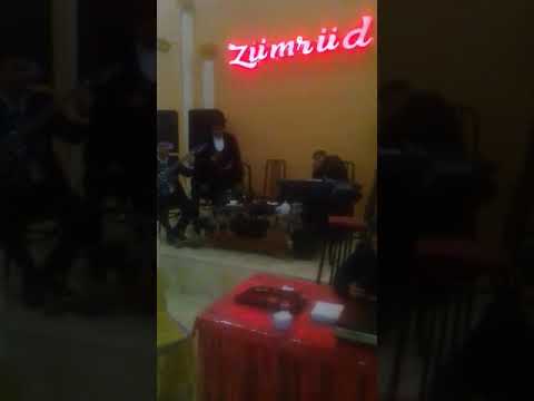 ELZAMİN MUSAOGLU TAMADA